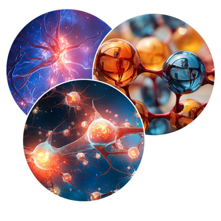 Molecular Dynamics - Red Oak Consulting